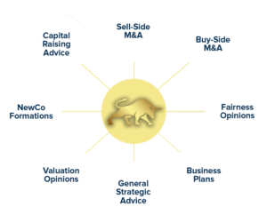 What We Do – Insurance Advisory Partners