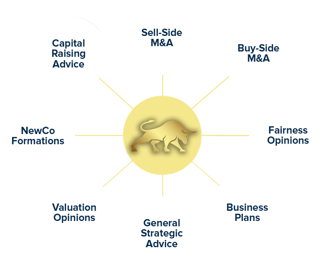 What We Do – Insurance Advisory Partners